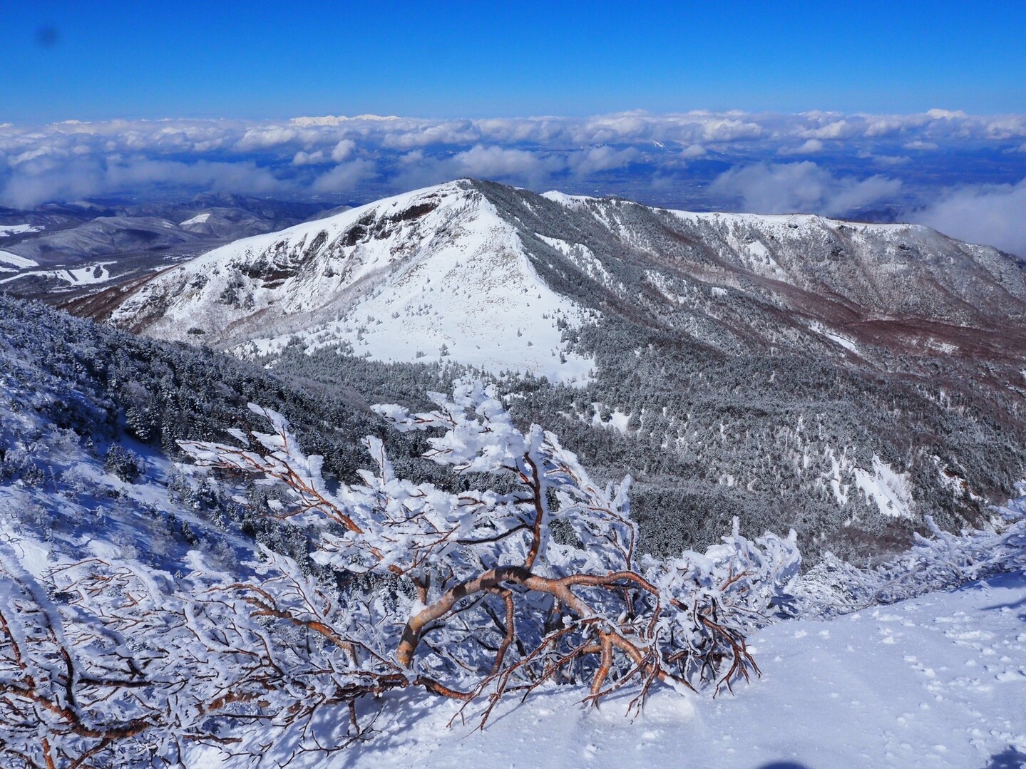 四阿山 雪山トレッキング / konkonさんの四阿山・根子岳の活動データ | YAMAP / ヤマップ