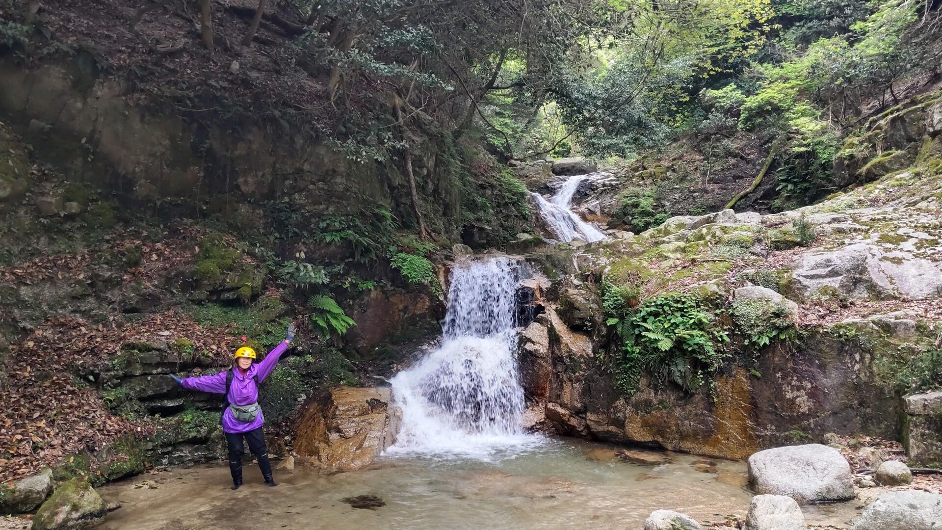焼合谷～尾高山(鈴鹿) / ikkoさんの釈迦ヶ岳の活動データ | YAMAP / ヤマップ