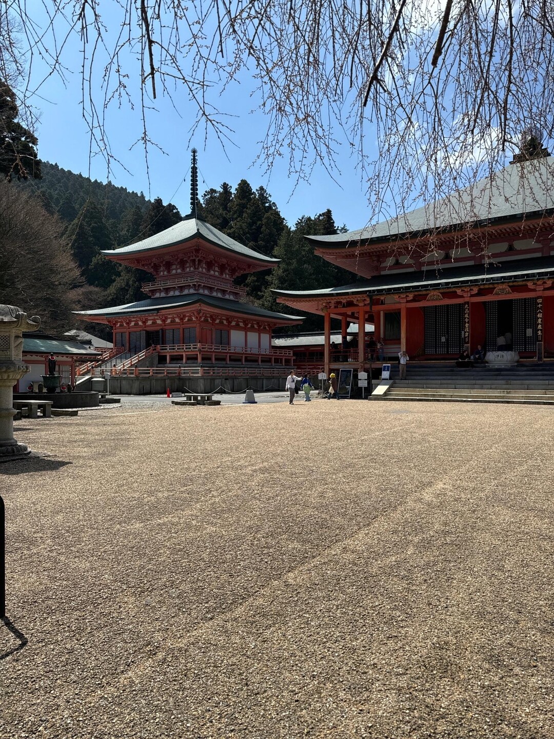 はじめての大比叡は最高の巻 / H2Oさんの比叡山・横高山・梶山の活動データ | YAMAP / ヤマップ