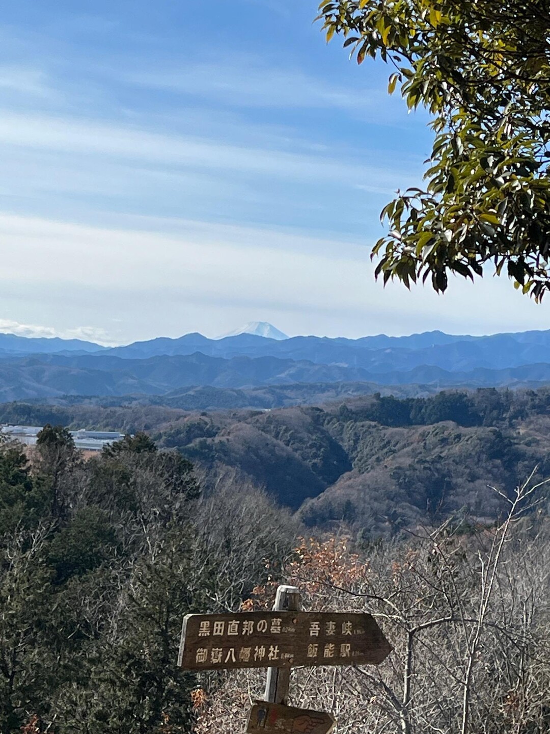 忘年山行⭐︎天覧山・多峯主山でまったり / Nano Yamazukiさんの天覧山・多峯主山・天覚山の活動データ | YAMAP / ヤマップ