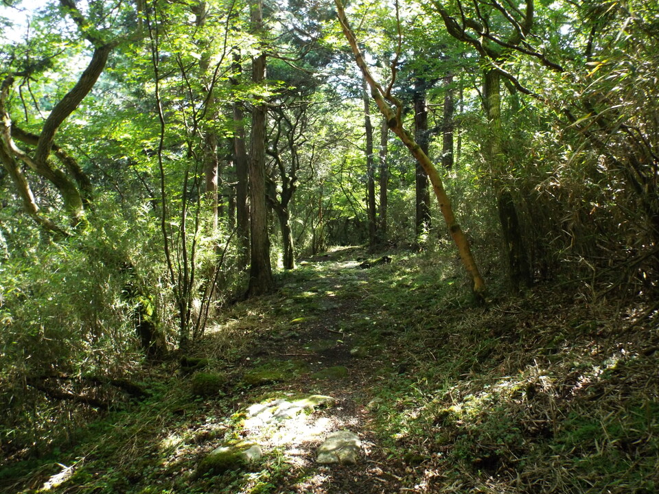 箱根関所跡バス停-屏風山-湯坂路入口バス停-鷹巣山-浅間山 縦走コースの地図・登山ルート・登山口情報 | YAMAP / ヤマップ