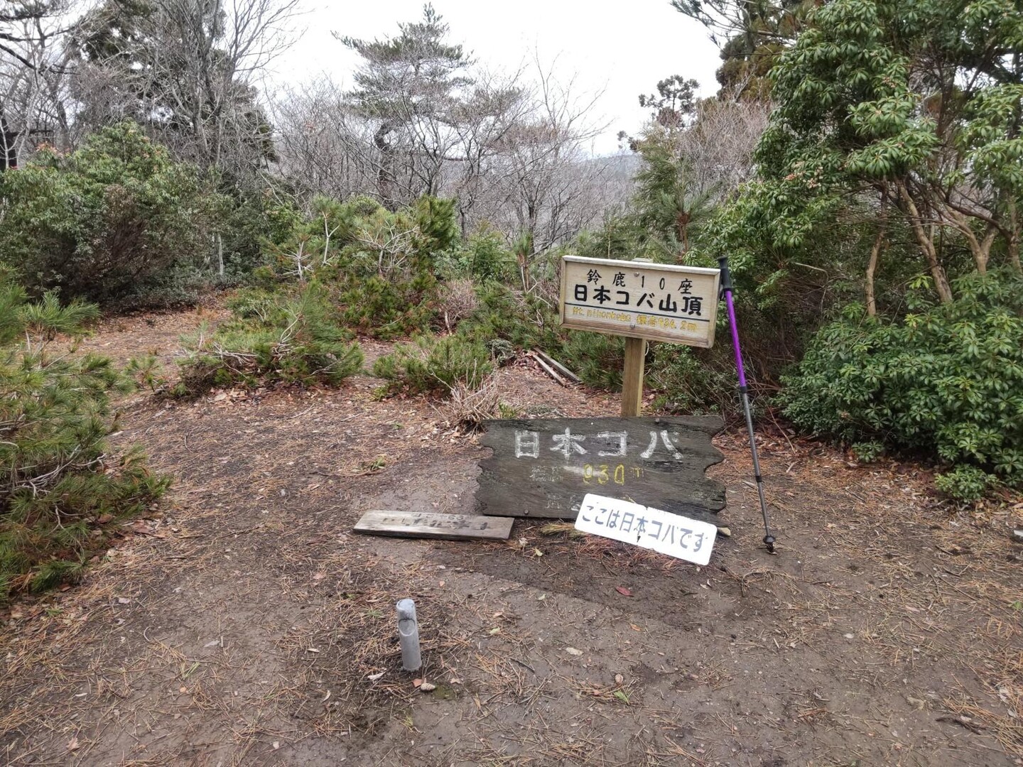 花平・衣掛山・日本コバ・白鹿背山（東光寺山） / Mt.OKA🎃さんの日本コバの活動データ | YAMAP / ヤマップ