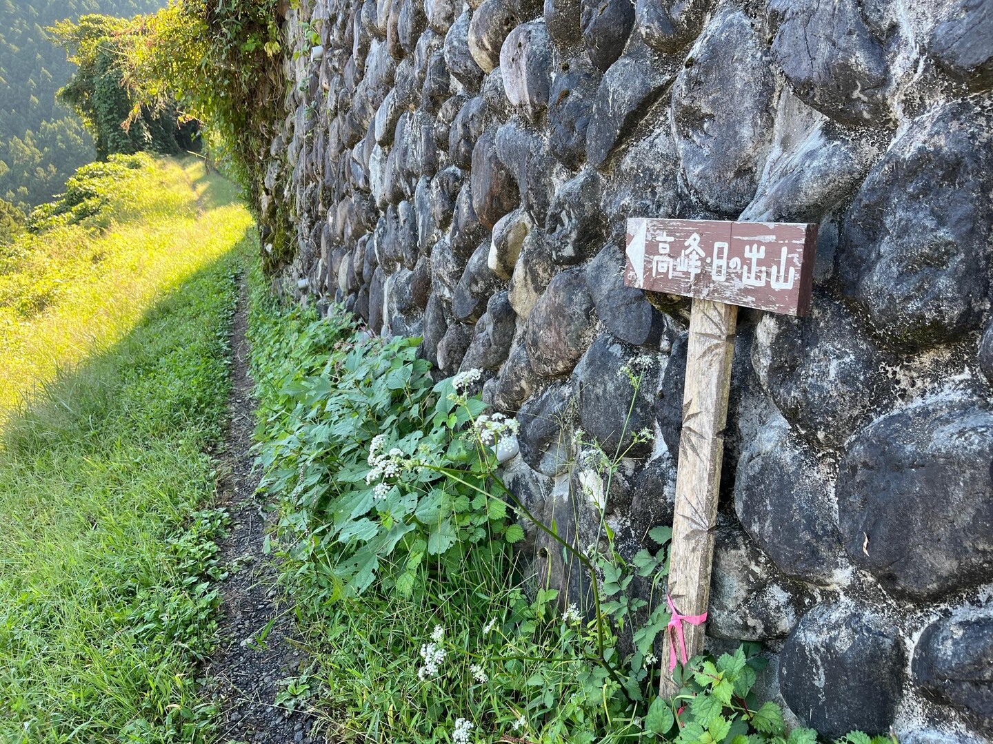 Y-kobaさんの投稿したフィールドメモ | YAMAP / ヤマップ