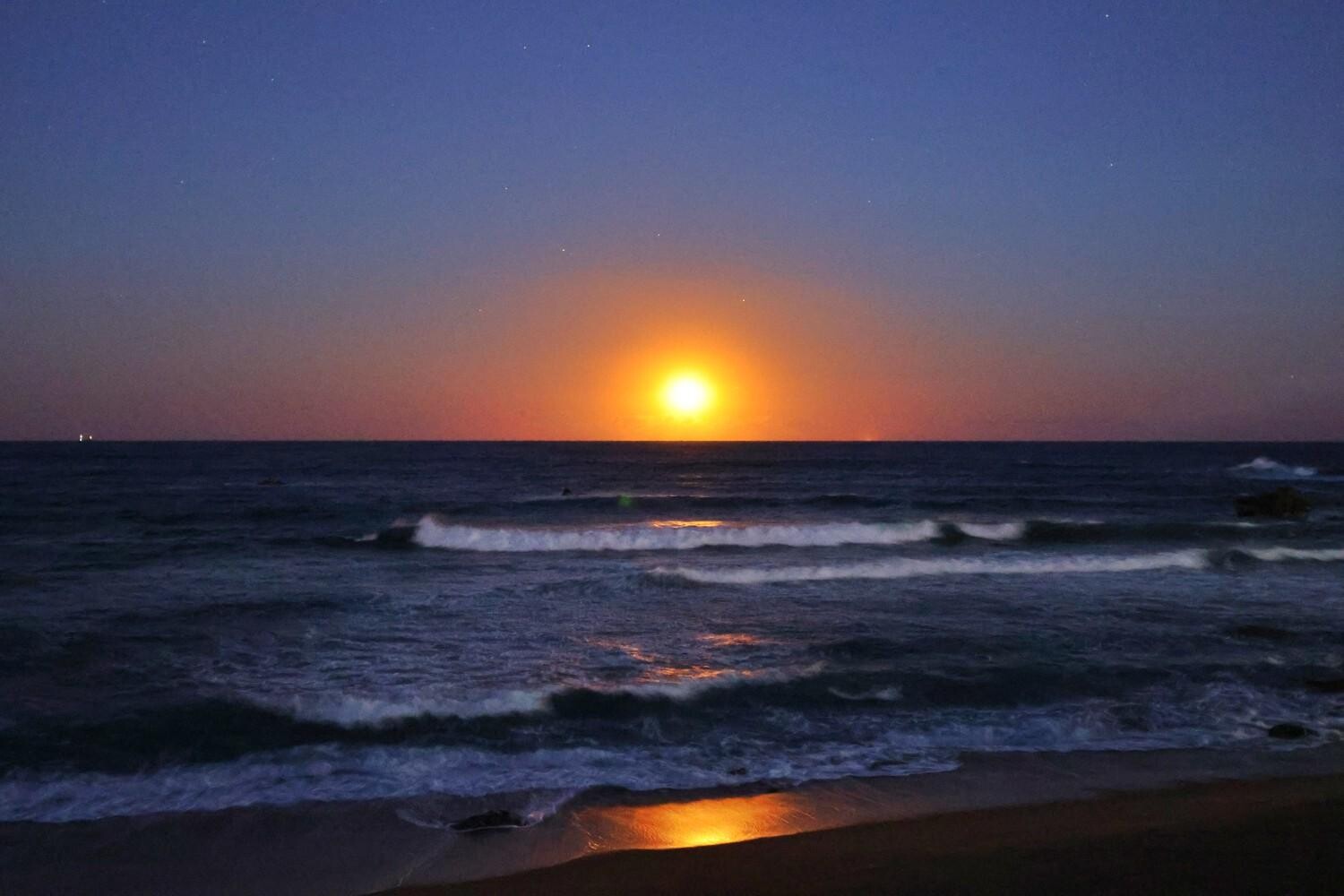 今日は快晴でしたが、風が強かった。 赤い... / Windyさんのモーメント | YAMAP / ヤマップ