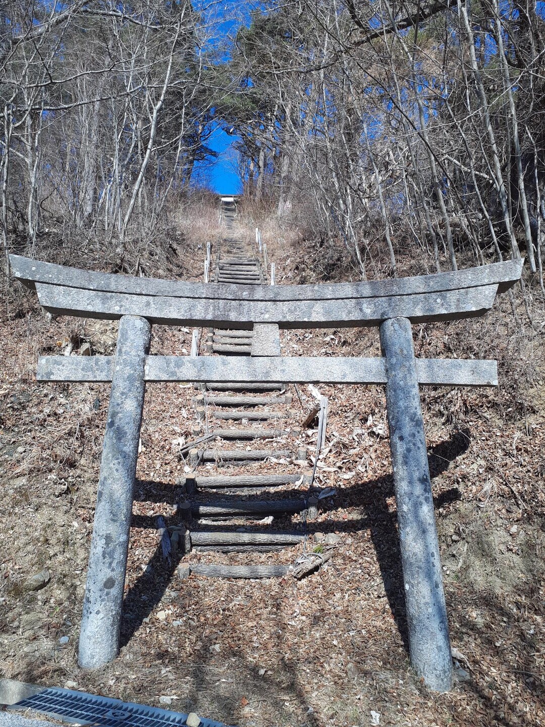 箱根山-2024-1-31 / aiさんの氷上山の活動日記 | YAMAP / ヤマップ