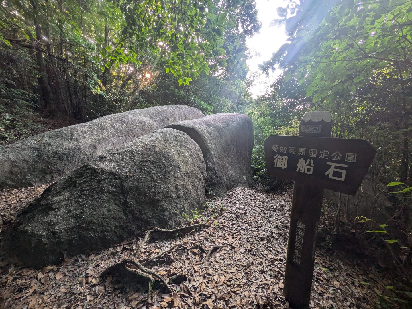 チョッと猿投山まで / hottyさんの猿投山・物見山の活動データ | YAMAP / ヤマップ