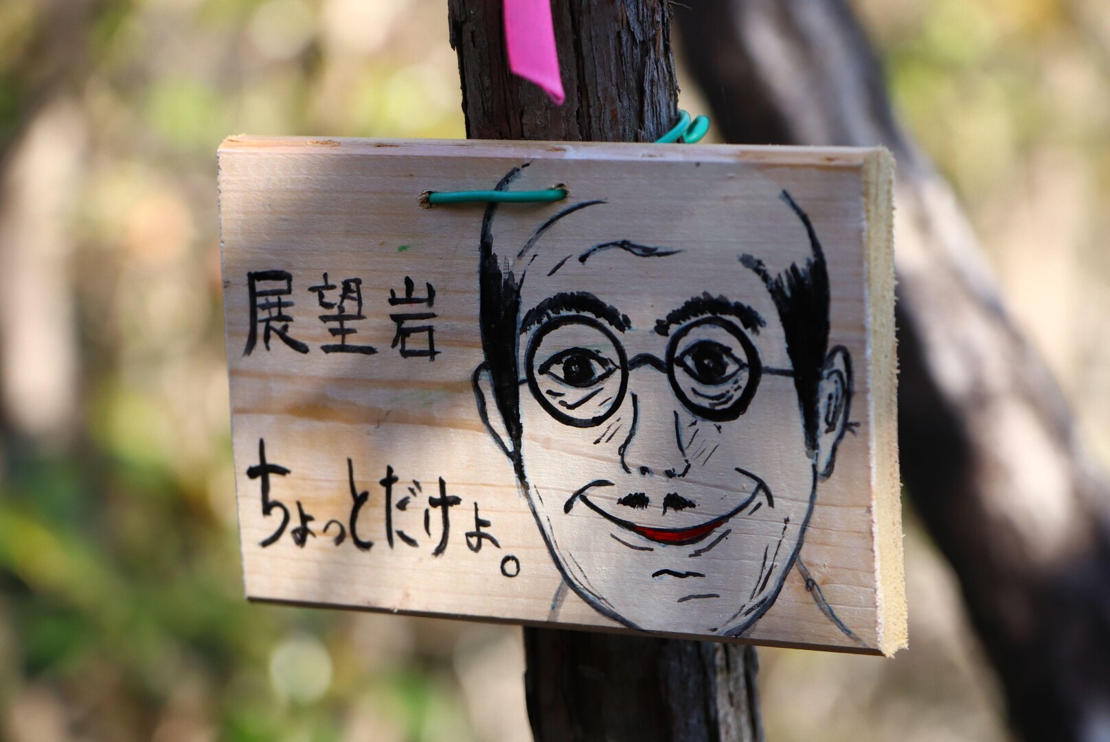 富田松山＆前山 - あんたも好きねぇ / R1さんの観音寺山の活動データ | YAMAP / ヤマップ