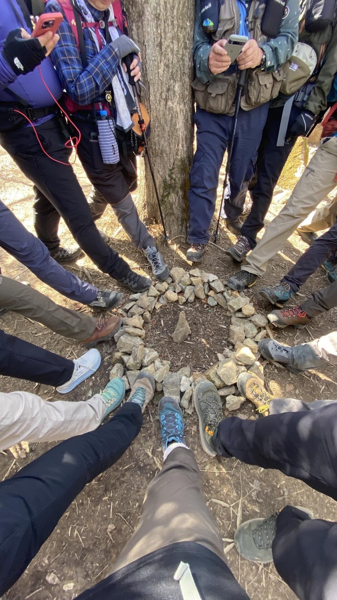 大人数で、JR🚃の旅🌸梅園 城山・鷹尾山・荒地山•なかみ山•本庄山•金鳥山 / りりさんの六甲山・長峰山・摩耶山の活動データ | YAMAP / ヤマップ