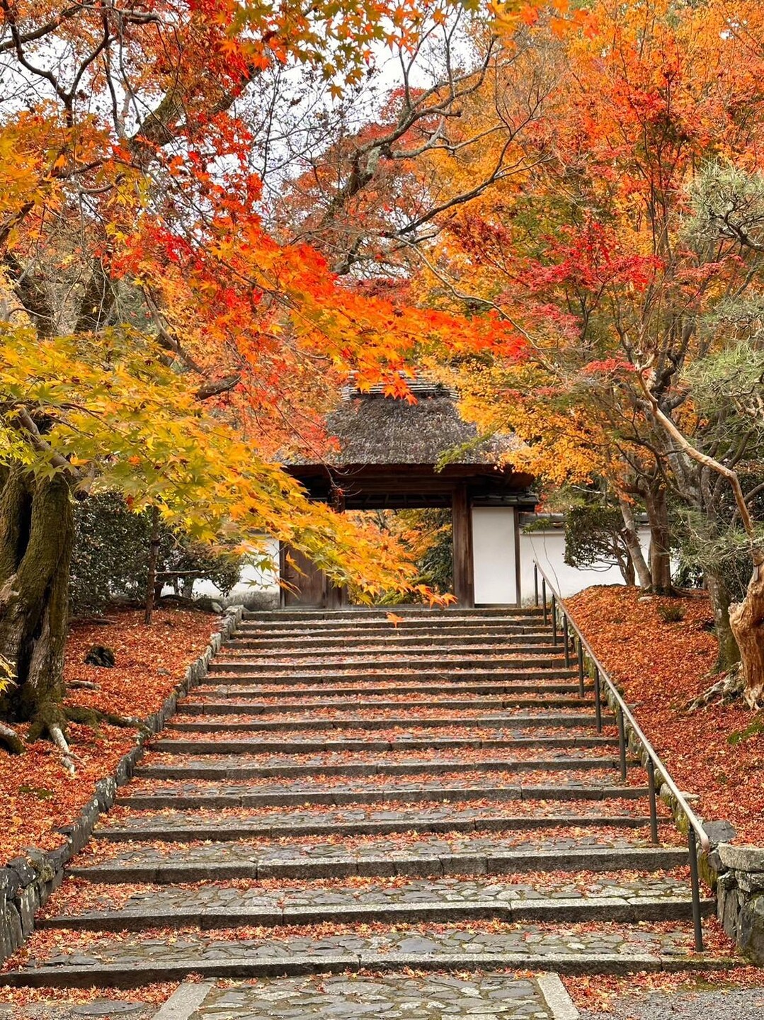 京都トレイル(東山コース) / 🍒sa-ki🍒さんの京都一周トレイルの活動データ | YAMAP / ヤマップ