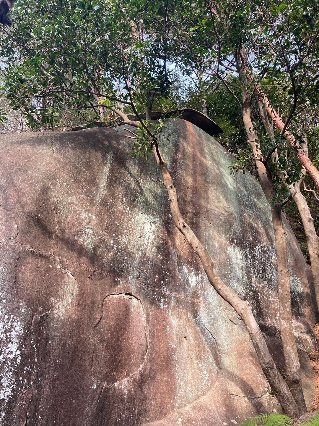 toraさんの投稿したフィールドメモ | YAMAP / ヤマップ