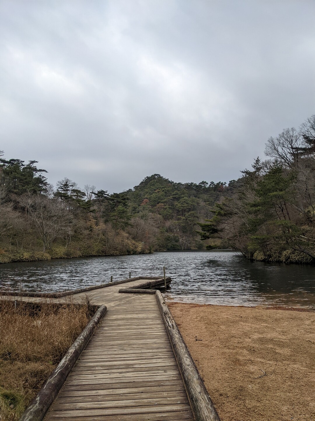 六甲山全縦走その1（真ん中13）摩耶山・摩耶別山・シェール槍・六甲山 ヒロスケ Uo･ｪ･ou 🐋さんの六甲山・長峰山・摩耶山の活動
