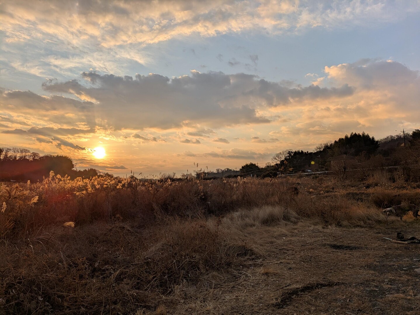 The 4th Memorial Day / 紫苑さんの大山の活動データ | YAMAP / ヤマップ