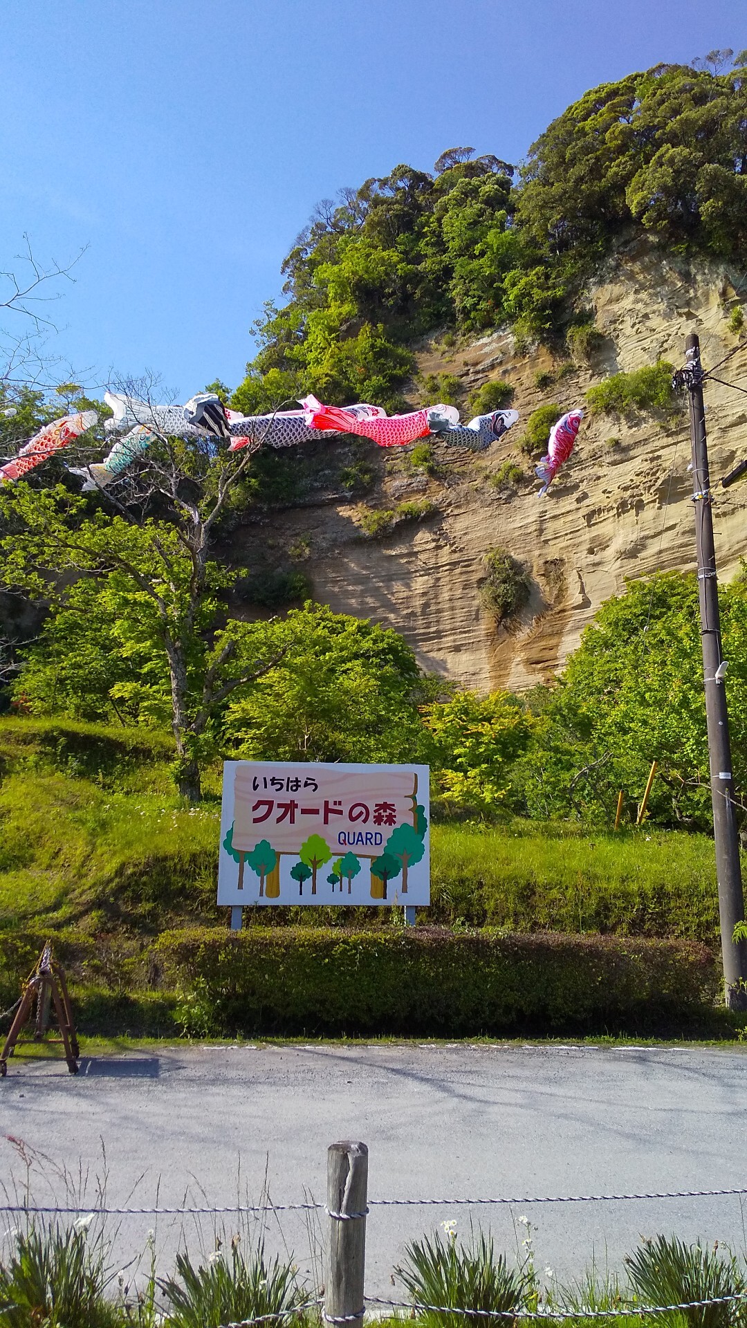 いちはらクォードの森ハイキング / 8Man.GTさんのハイキングの活動データ | YAMAP / ヤマップ