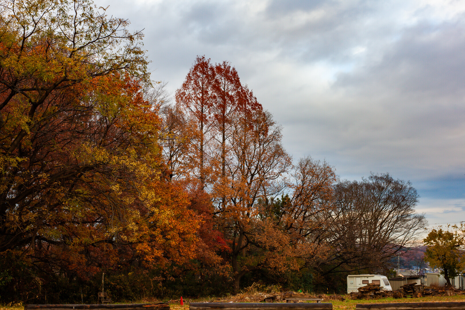 12月14日のひよどり山散歩の時の写真で... / stripeさんのモーメント | YAMAP / ヤマップ
