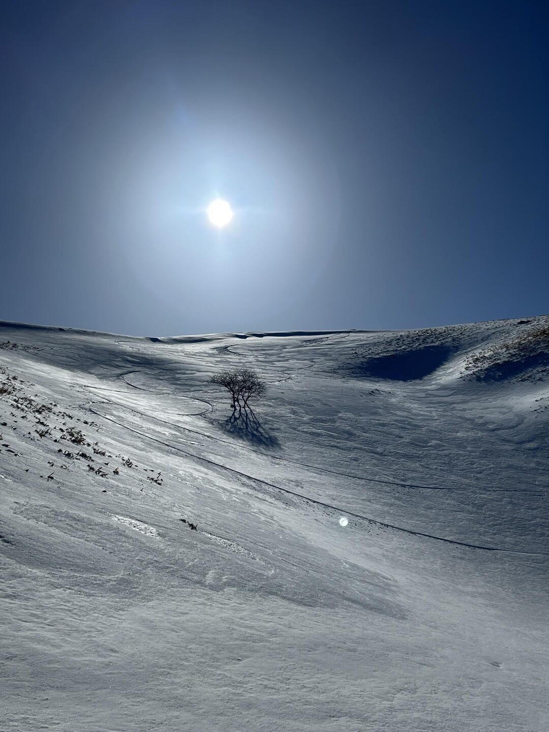 和田山北峰・三峰山 / uskさんの鉢伏山・高ボッチ山・三峰山の活動データ | YAMAP / ヤマップ