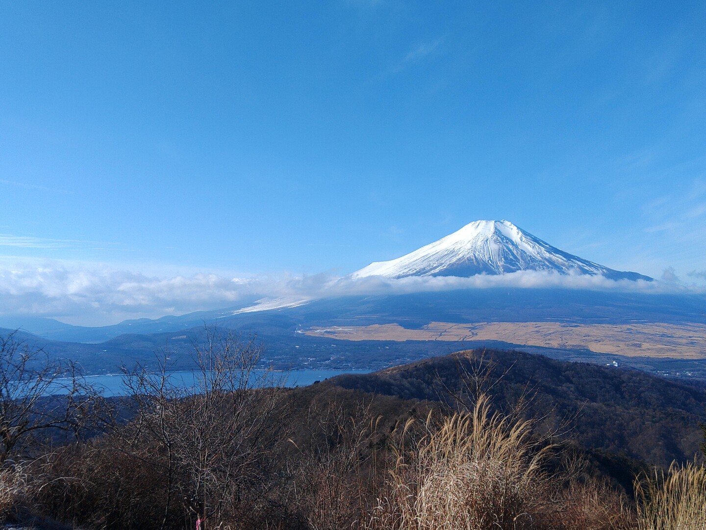 厳冬期の石割山～飯盛山でトレラン / ankamoさんの御正体山・杓子山・石割山の活動データ | YAMAP / ヤマップ