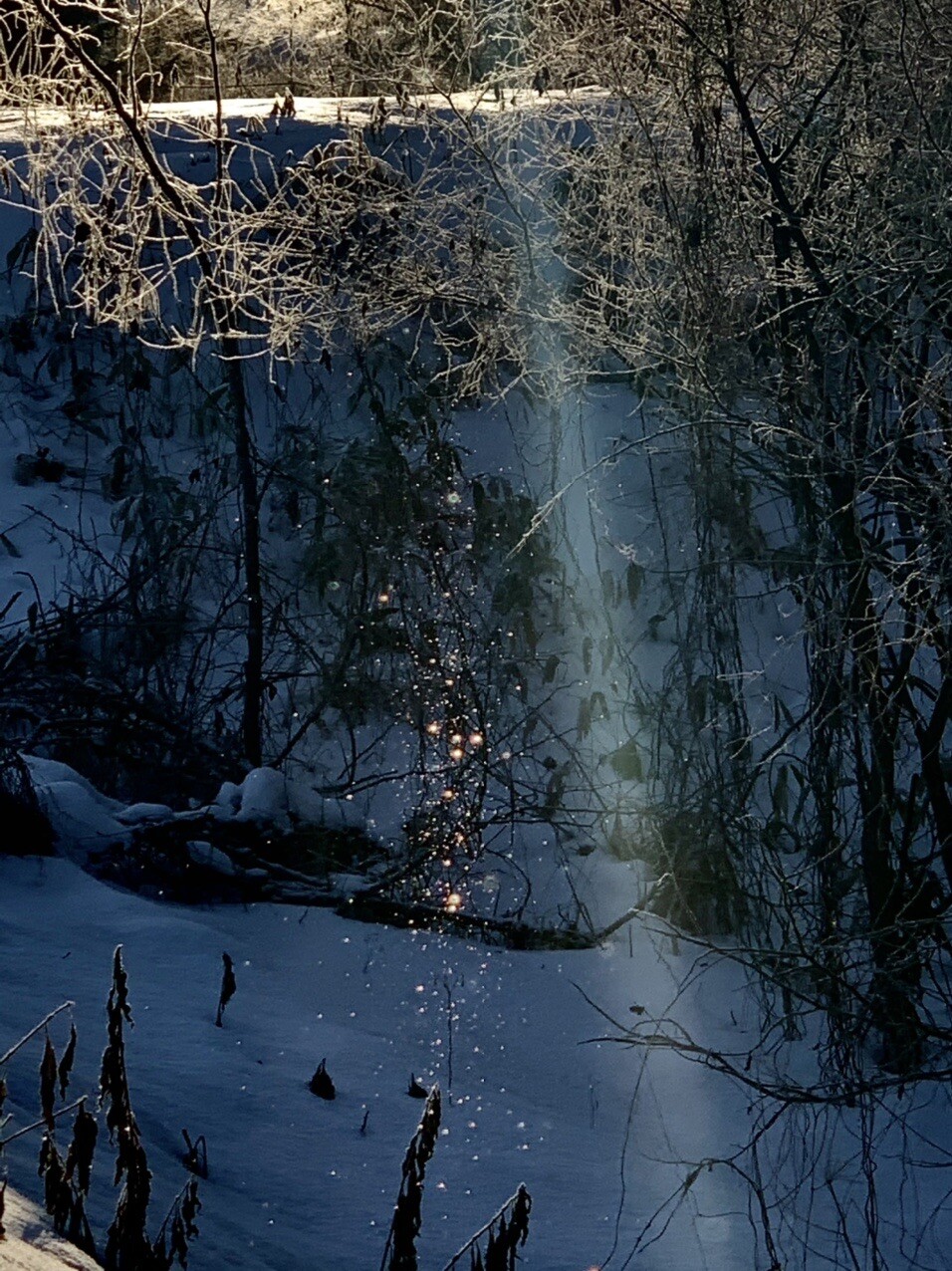 今朝の通勤途中で、 ダイヤモンドダストが... / TETSUさんのモーメント | YAMAP / ヤマップ