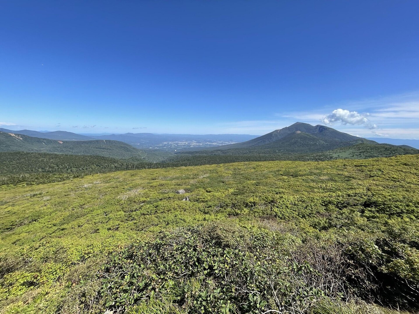 紅葉🍁のはずが‥😅大松倉山・三ッ石山 / chi-zuさんの三ッ石山・大深岳・諸桧岳の活動データ | YAMAP / ヤマップ