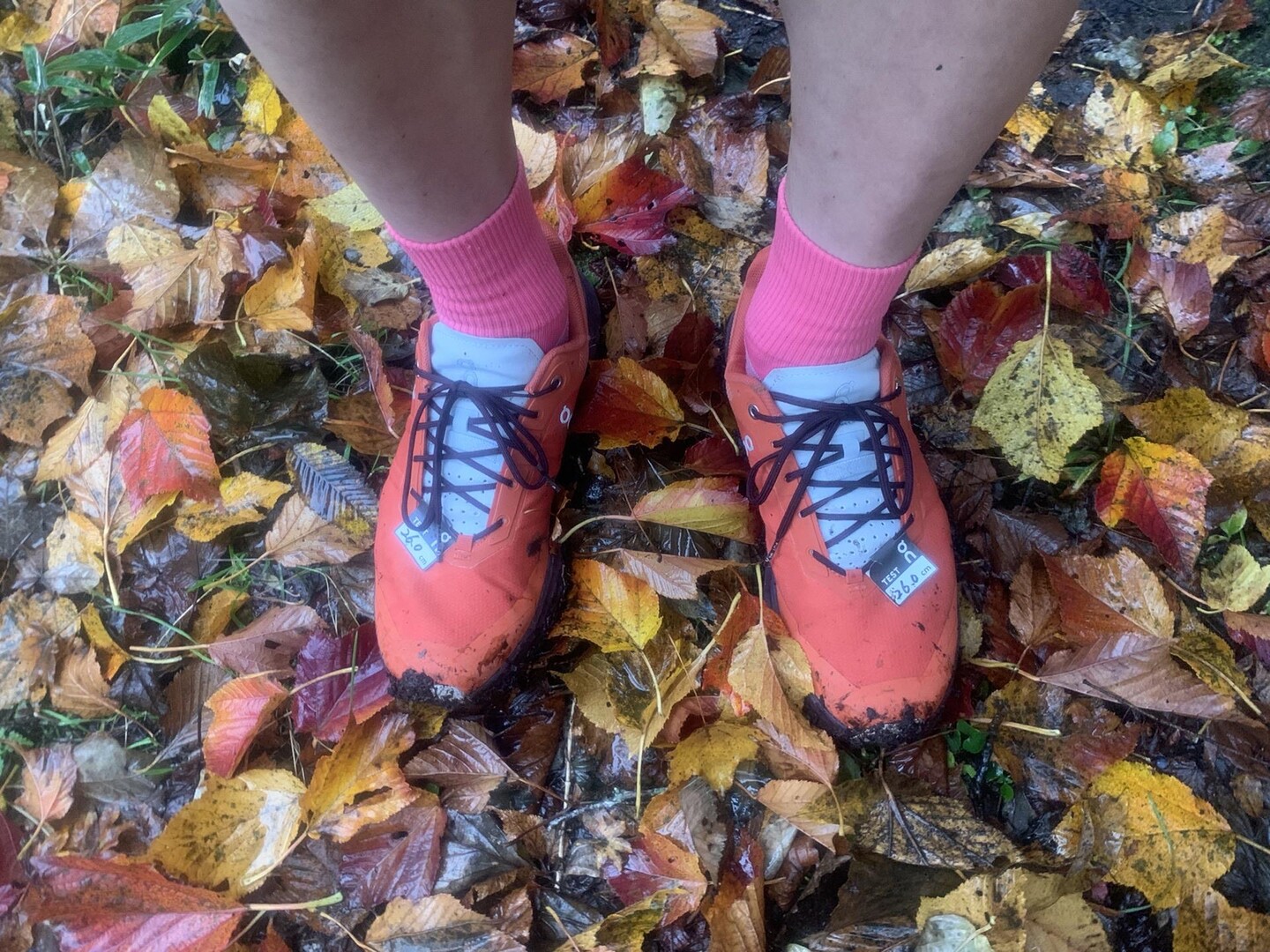 KAMI 100 37k兎和野スイーパー / kokiさんの氷ノ山（須賀ノ山）・鉢伏山・瀞川山の活動データ | YAMAP / ヤマップ