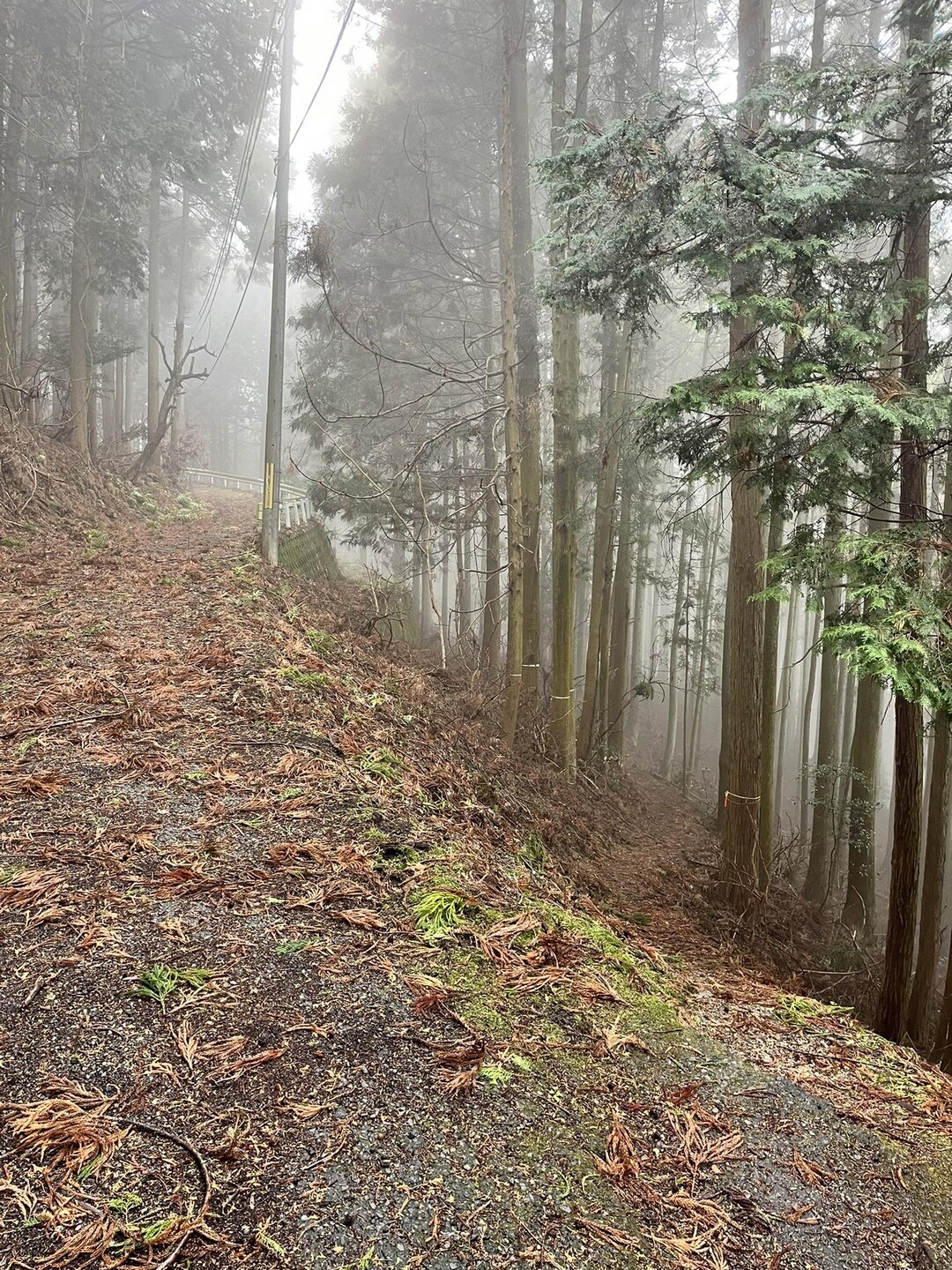 e nakaさんの投稿したフィールドメモ | YAMAP / ヤマップ