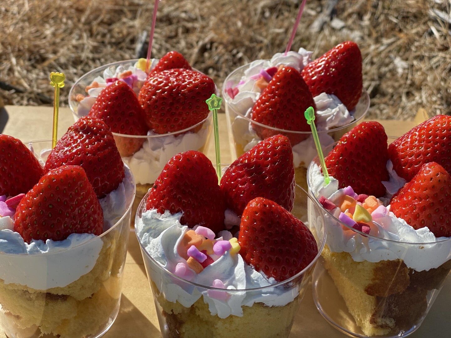 なんせ遠いわ！白髪岳(*≧艸≦) / kirarinさんの白髪岳・猪ノ子伏・陀来水岳の活動データ | YAMAP / ヤマップ