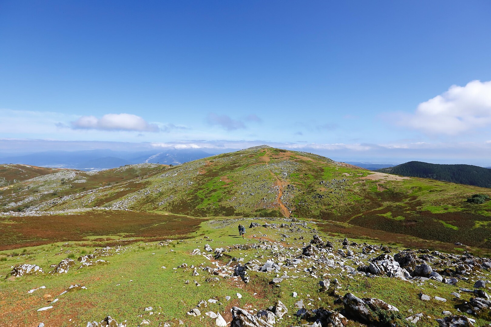 ⛰Rock＆Moss Garden / Miyaz さんの霊仙山の活動データ | YAMAP / ヤマップ