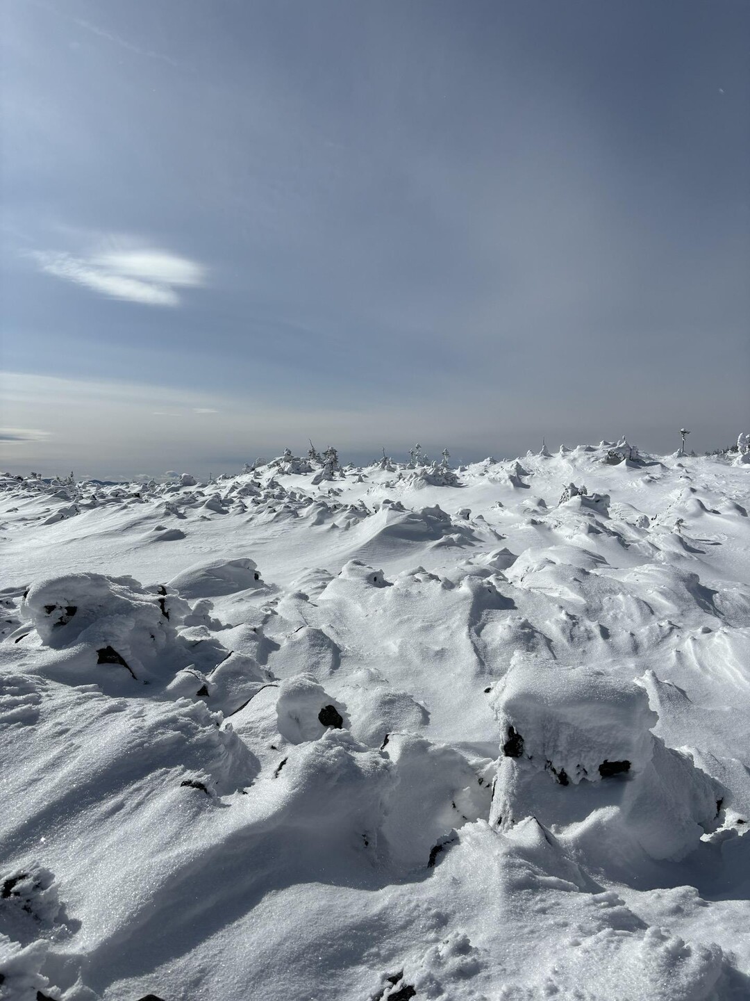 北横岳（南峰）・北横岳（北峰）・縞枯山 / sueさんの蓼科山・横岳・縞枯山の活動データ | YAMAP / ヤマップ