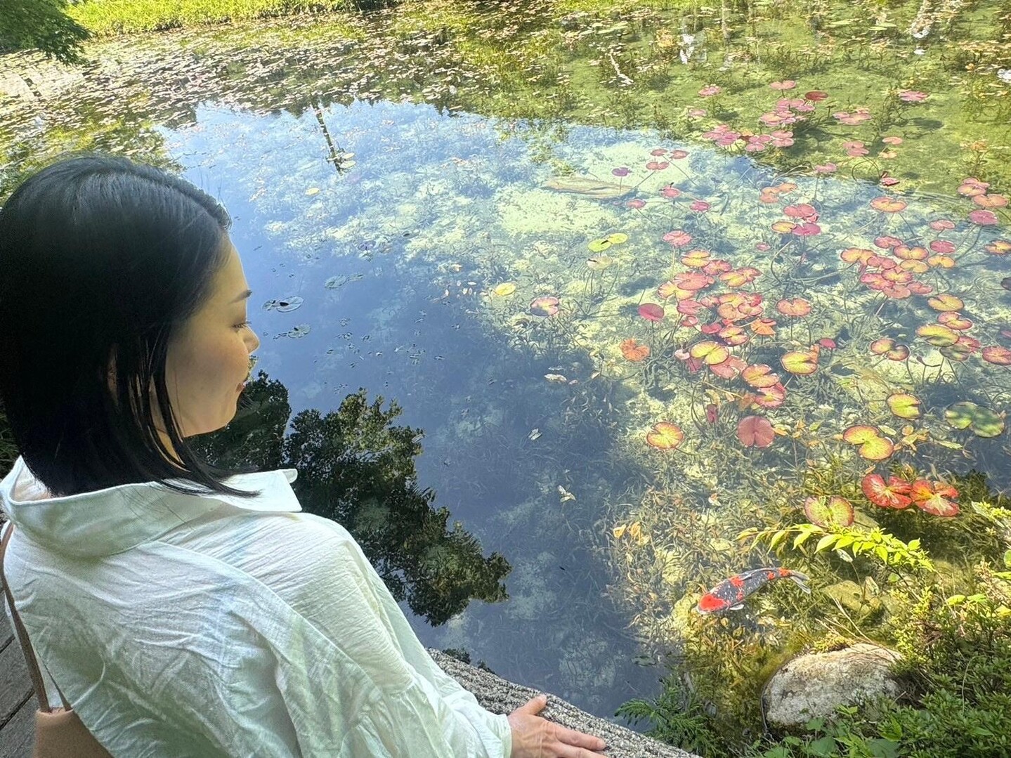 2024.5.18.Sat in岐阜 ... / akaneさんのモーメント | YAMAP / ヤマップ