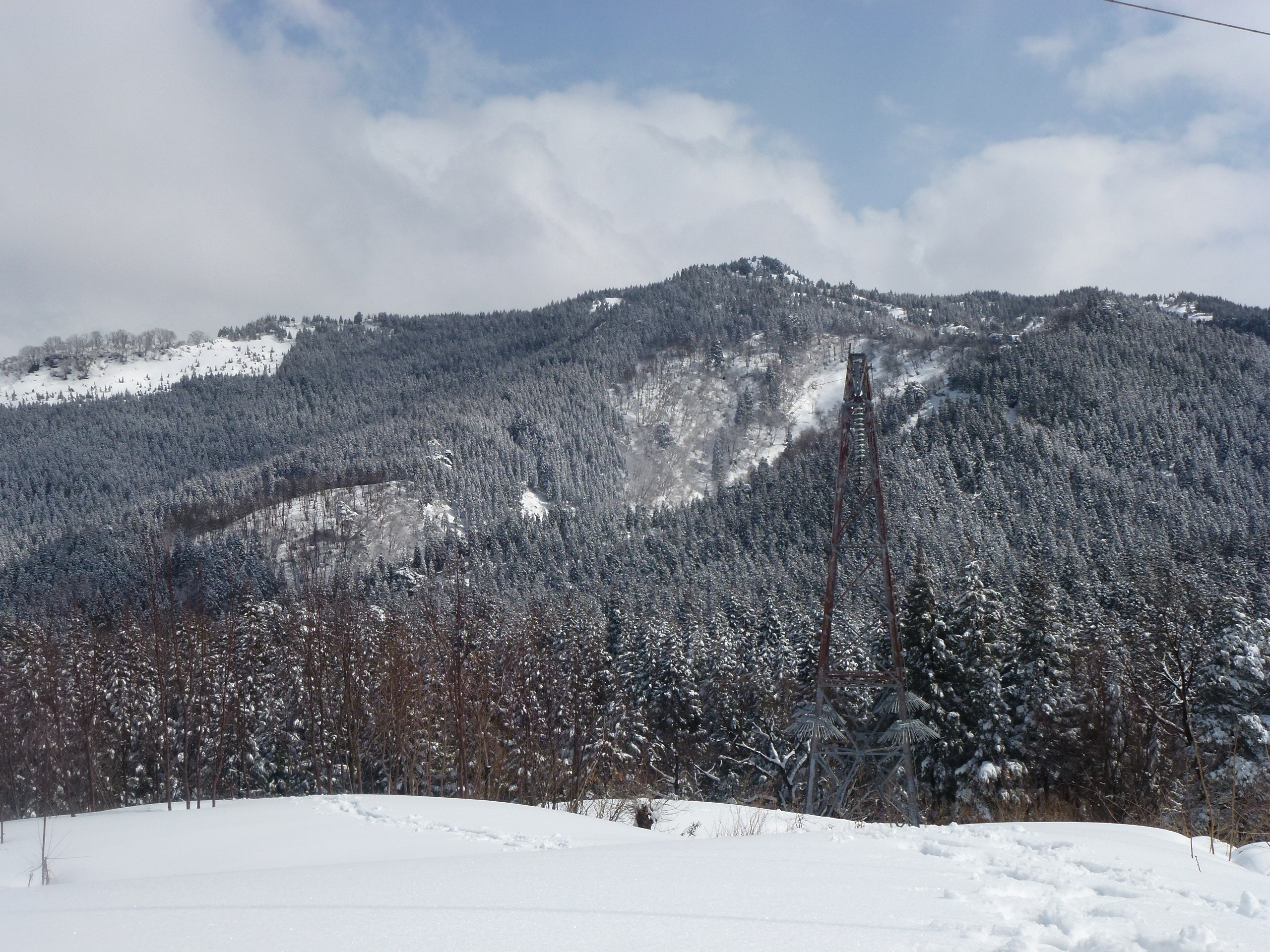 北珍道！大杉山周遊 2012/03/19 / TDMさんの大倉山の活動日記 | YAMAP / ヤマップ