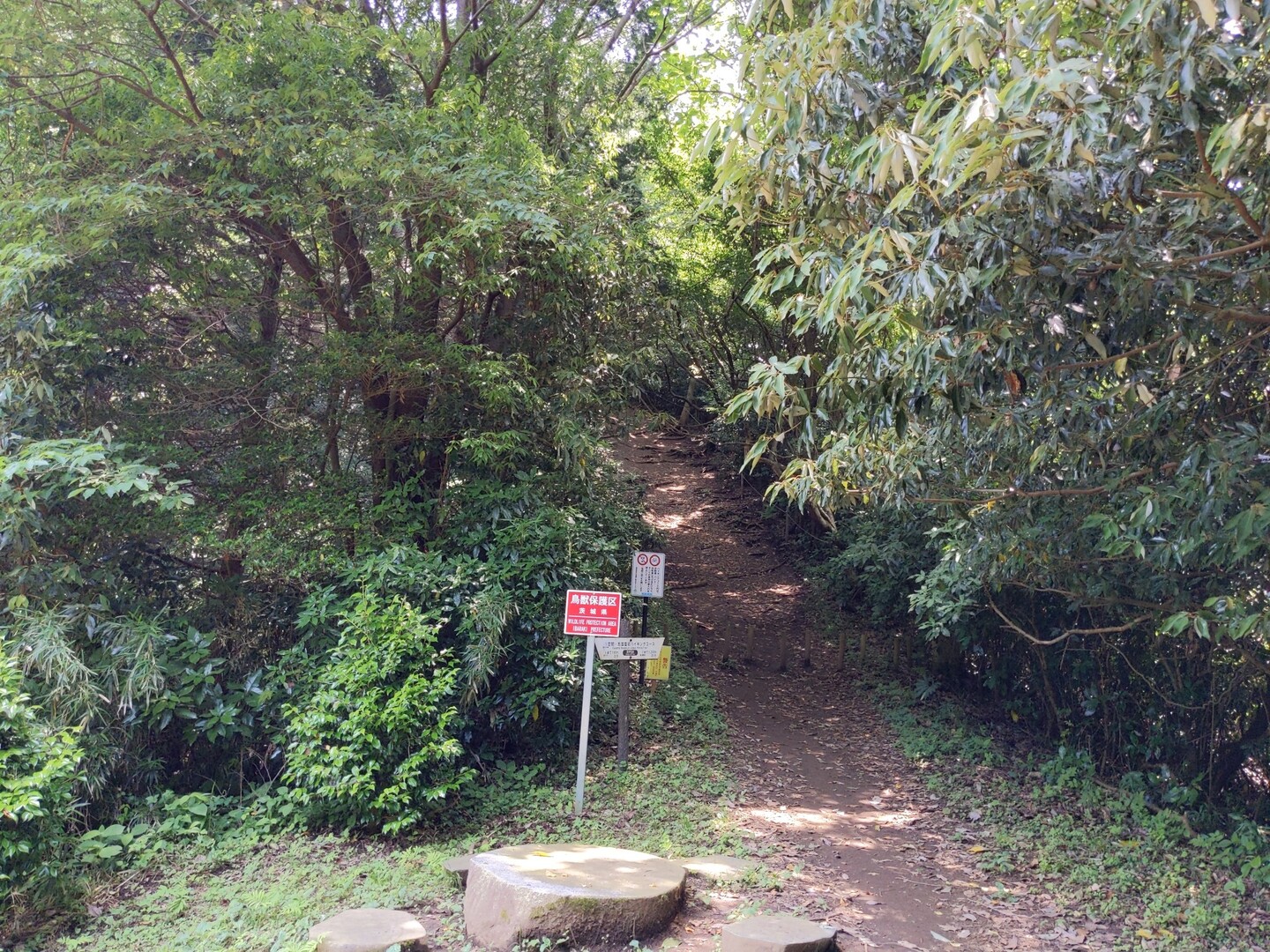 水戸710さんの投稿したフィールドメモ | YAMAP / ヤマップ