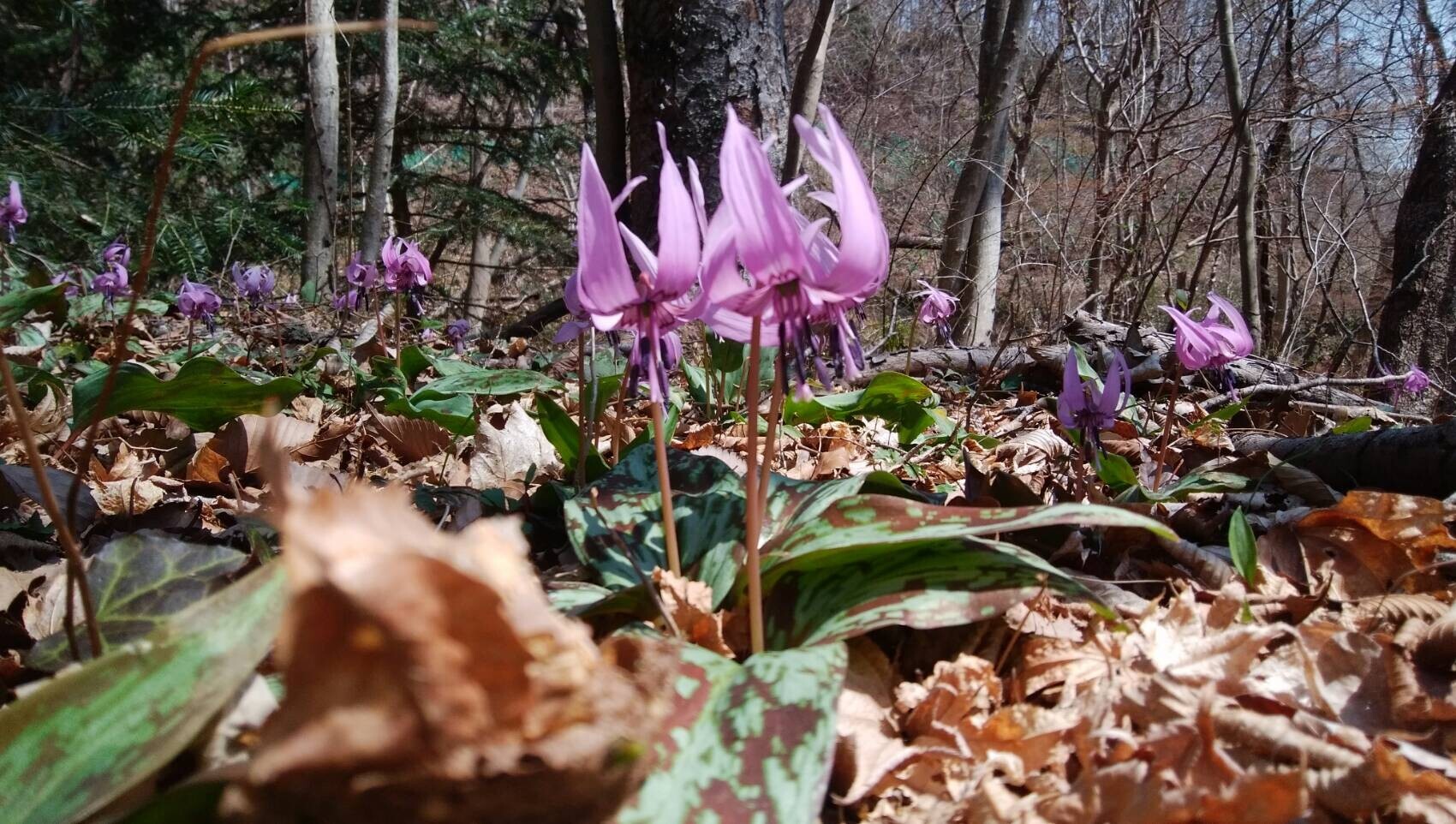 akoのページ | YAMAP / ヤマップ