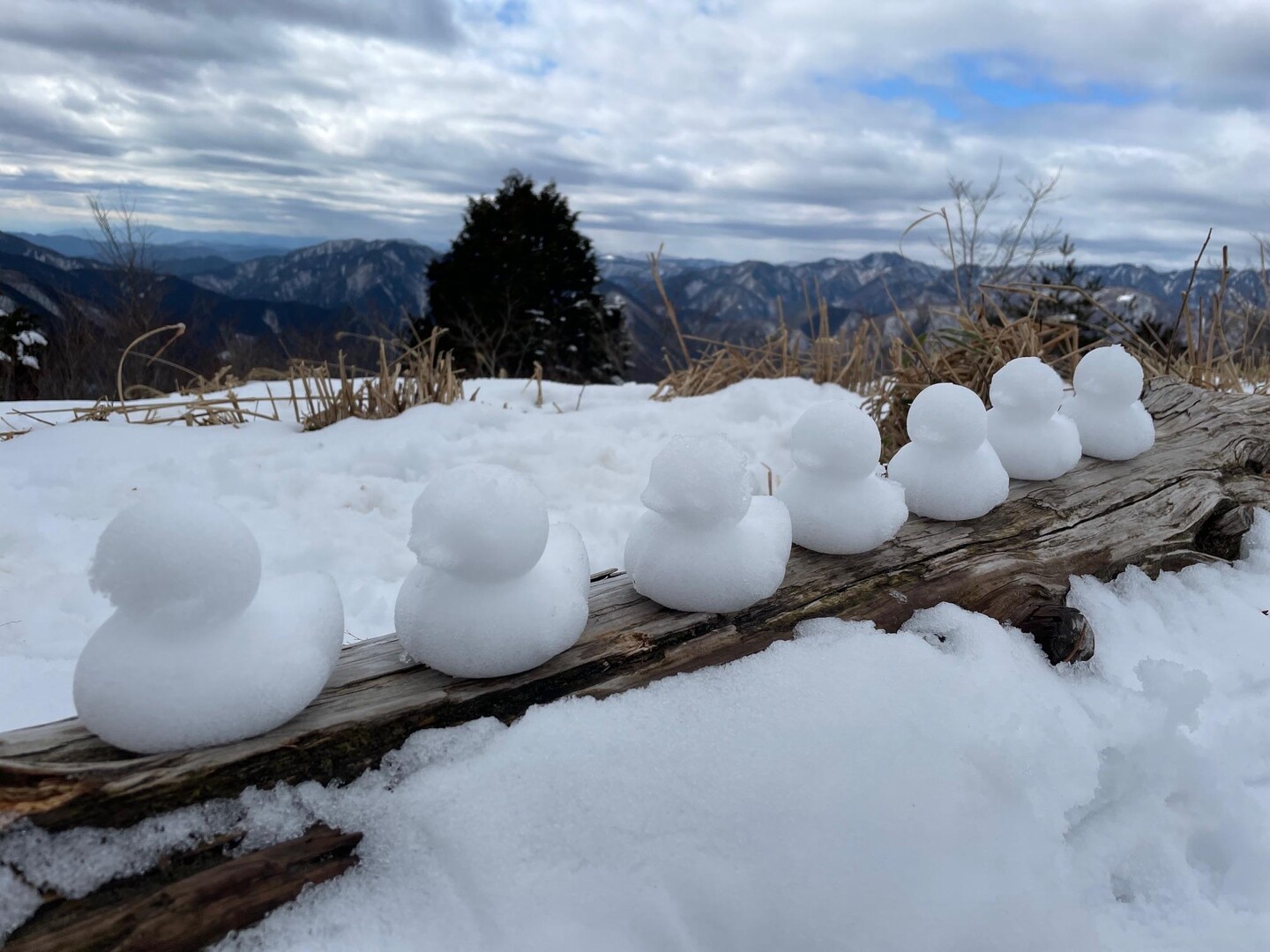 楽しかった😆しんどかった😆蕪山 / Cuernavaca🇲🇽さんの蕪山の活動データ | YAMAP / ヤマップ