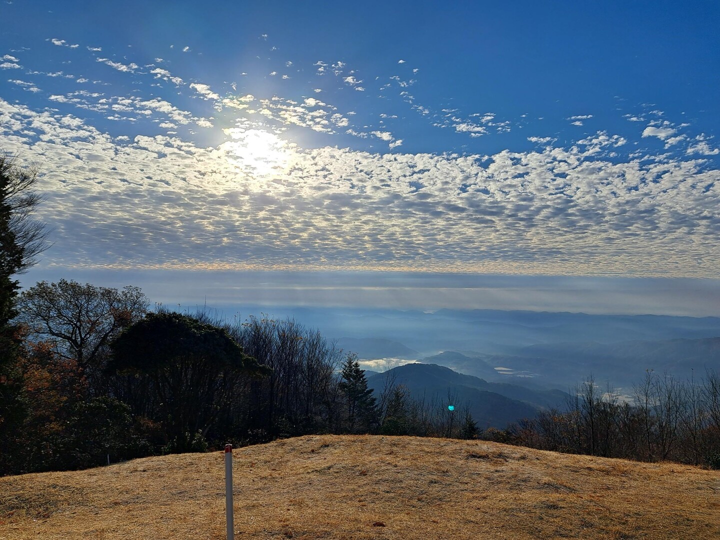 鷹ノ巣山 / 憲之さんの鷹ノ巣山・カンノ木山・硫黄山の活動データ | YAMAP / ヤマップ