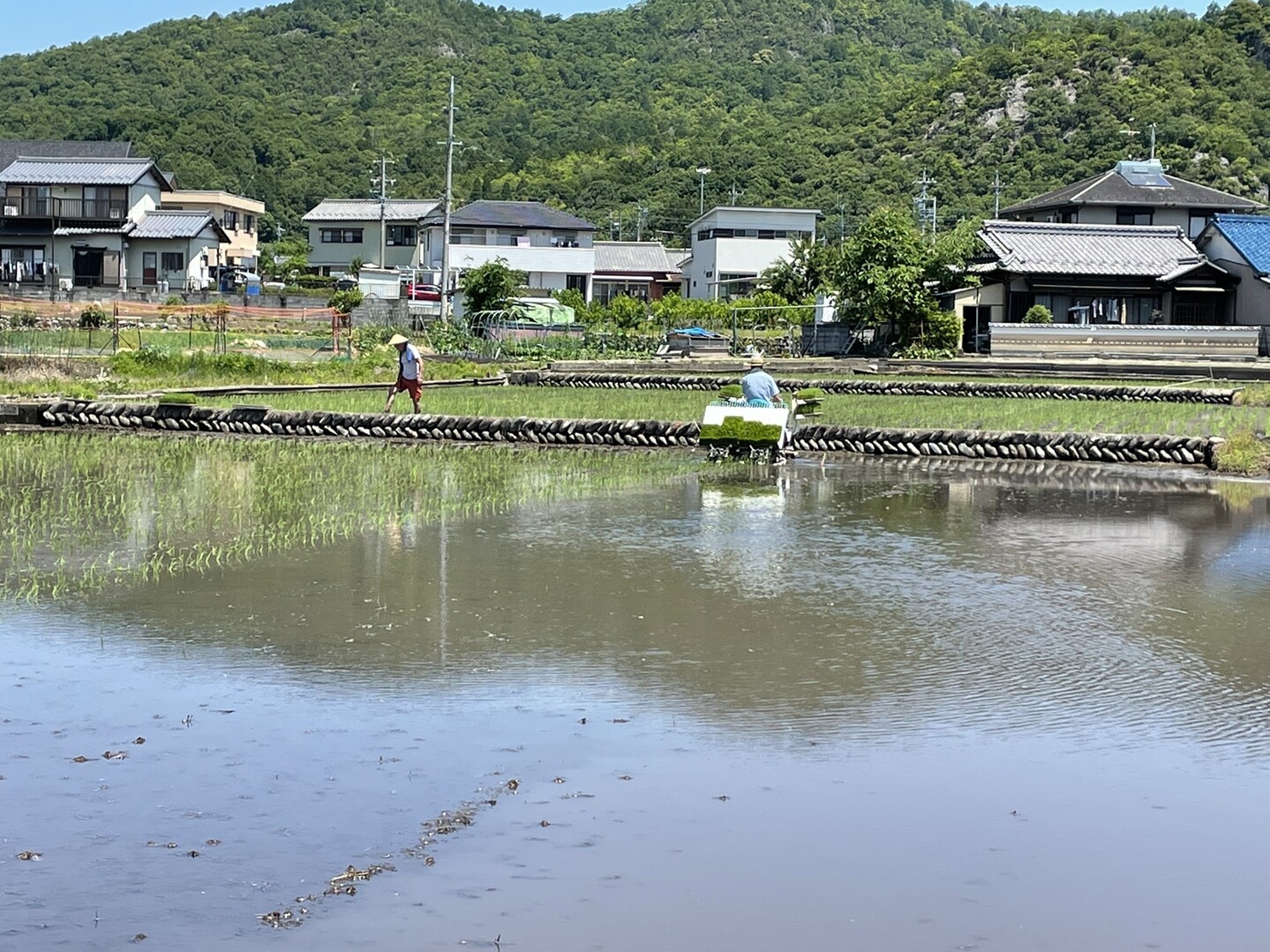 晴天☀️なのに田植えで山へ行けなくて・... / M K1218さんのモーメント | YAMAP / ヤマップ