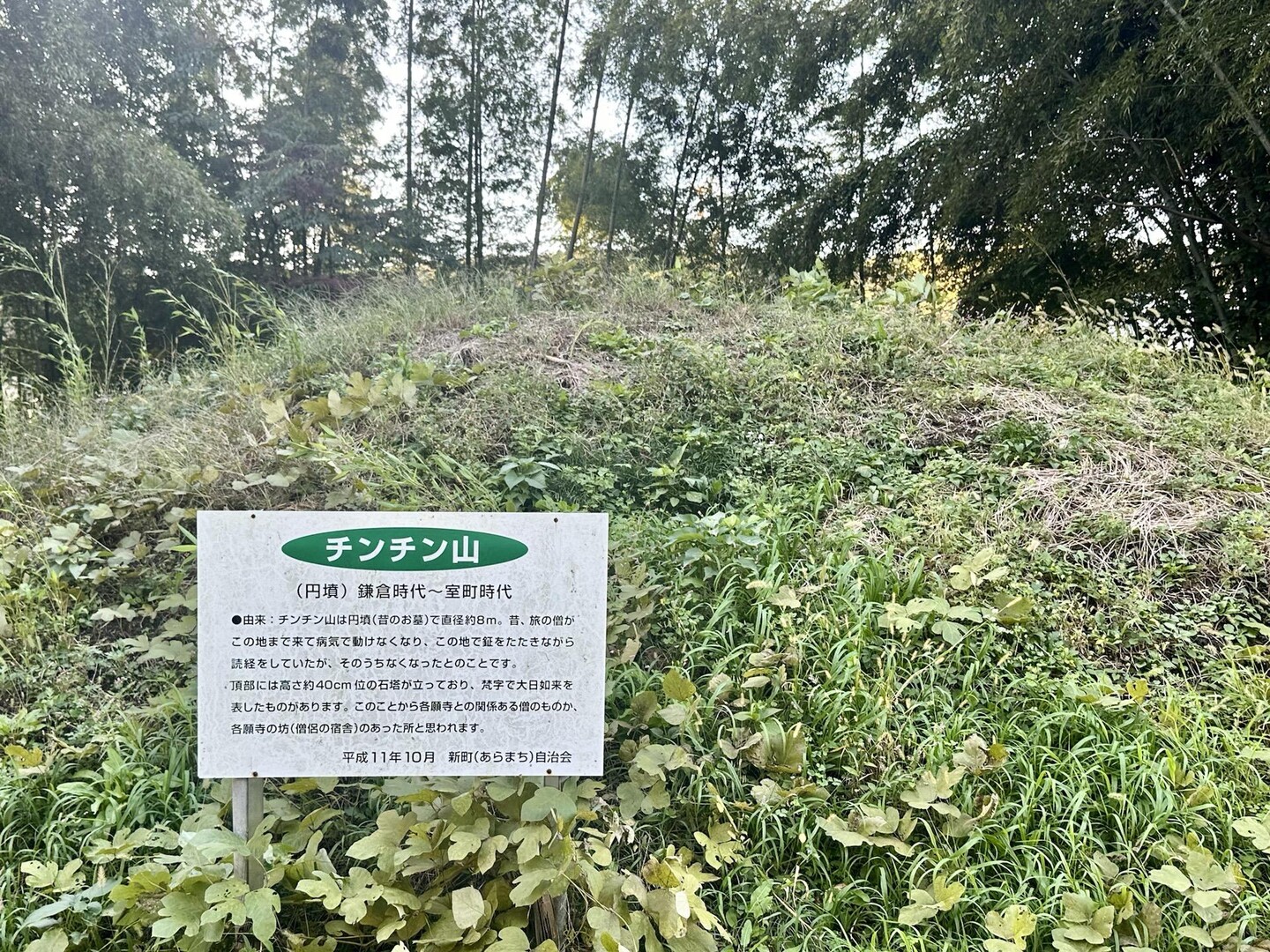 20241103 チ⚫︎チン山🫣 / Ryoさんの富山市の活動日記 | YAMAP / ヤマップ