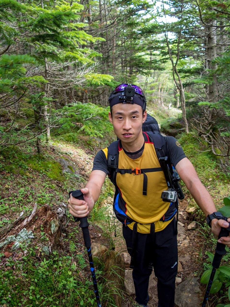 Naoto YOSHIDAのページ | YAMAP / ヤマップ