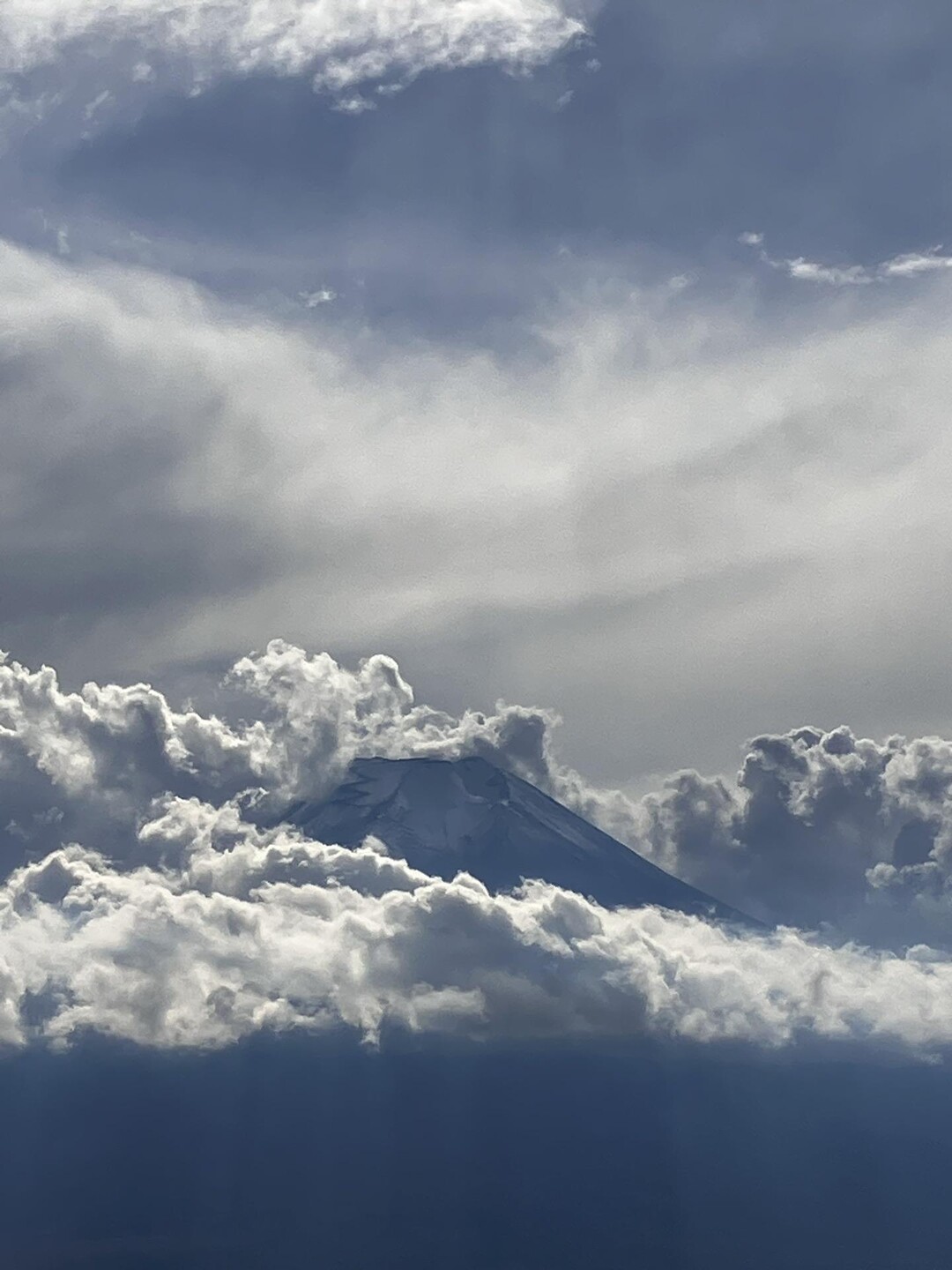 富士山🗻見えるお山へ🎶高座山・杓子山 / erikoさんの御正体山・杓子山・石割山の活動データ | YAMAP / ヤマップ