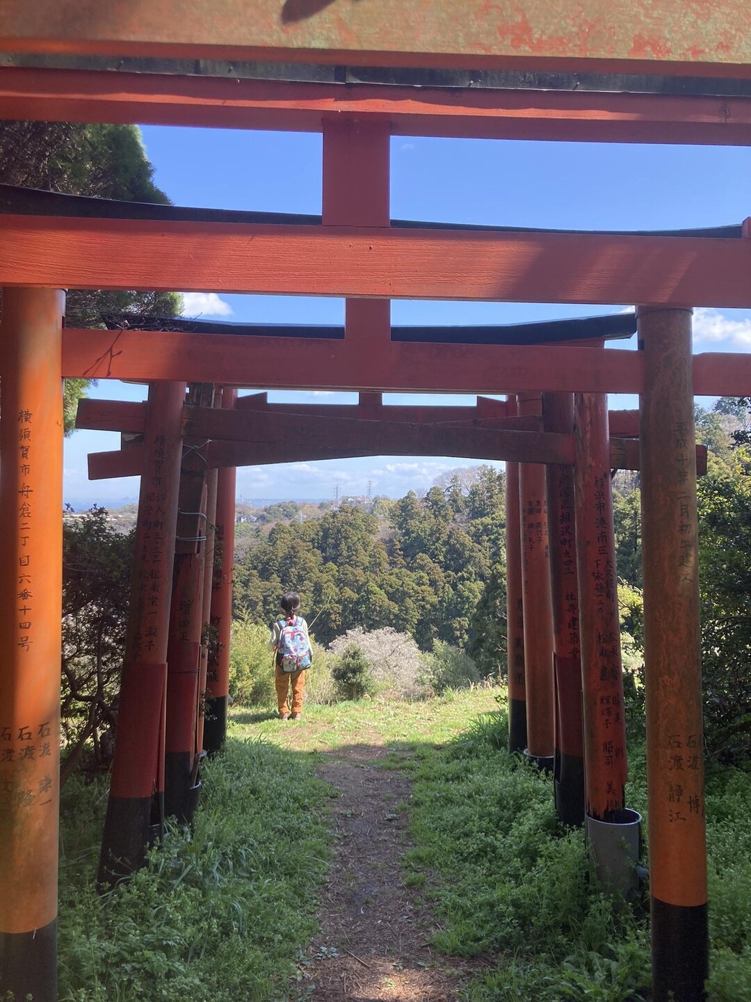 白赤稲荷・二子山（上の山）・二子山（下の山）・阿部倉山 / gyamaさんの三浦アルプス・二子山・仙元山の活動データ | YAMAP / ヤマップ