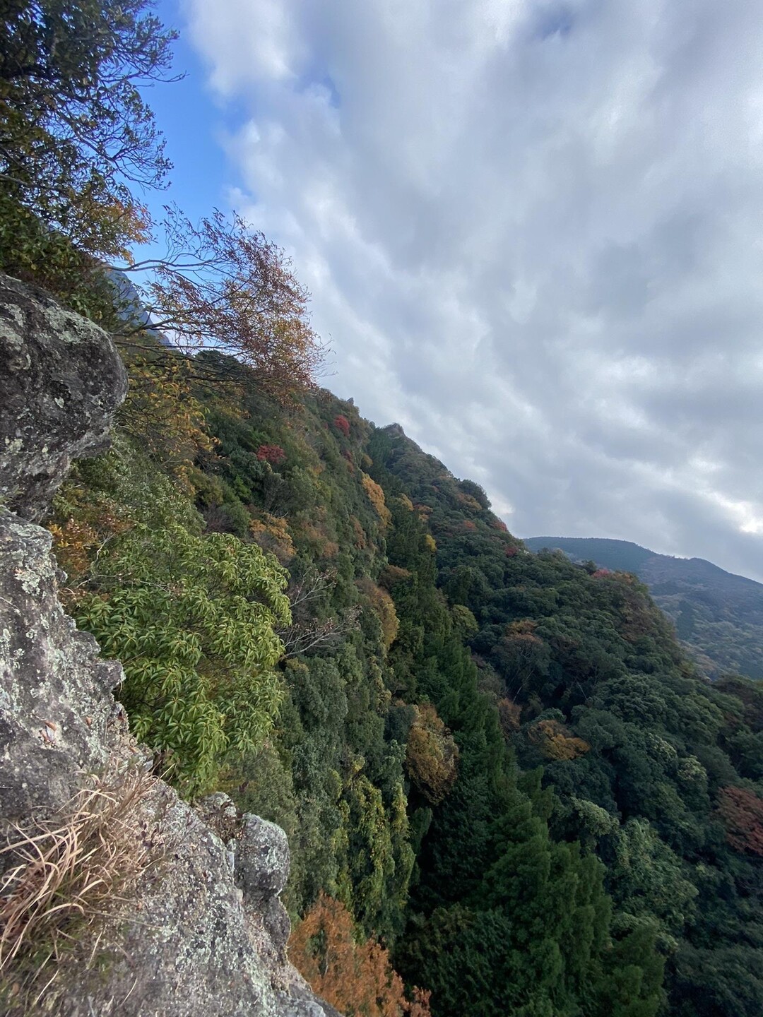 中山仙境-2022-11-20 / topperさんのウォーキングの活動データ | YAMAP / ヤマップ