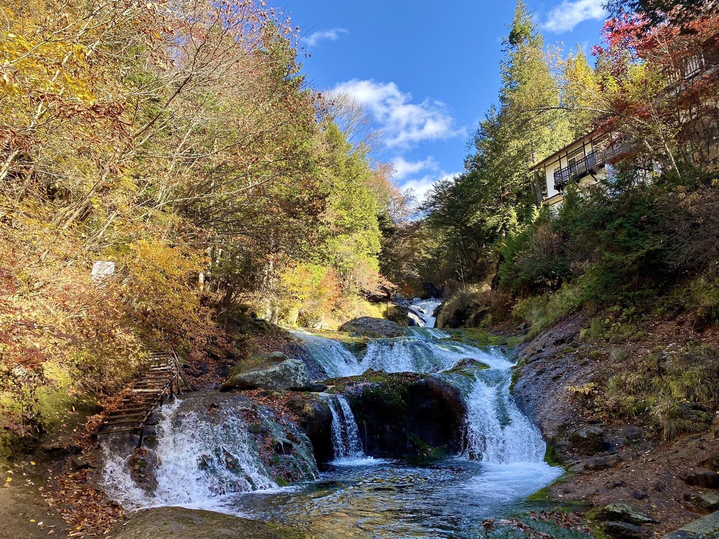 横谷峡にて紅葉狩り🍁 / 3to4さんの蓼科山・横岳・縞枯山の活動データ | YAMAP / ヤマップ
