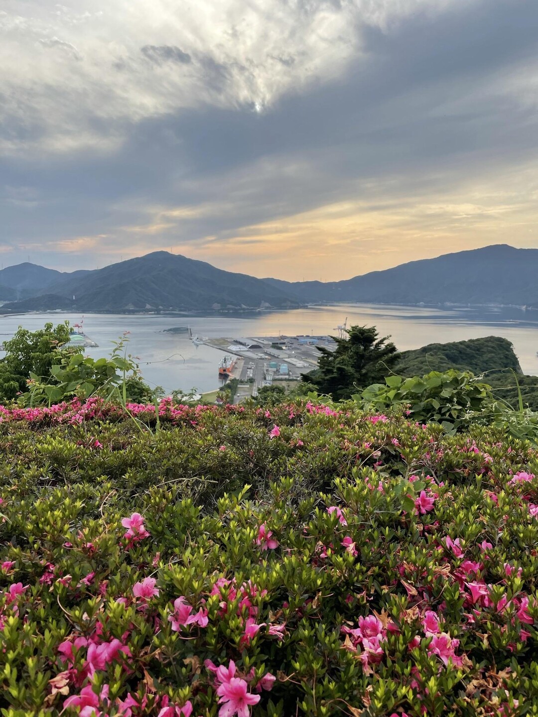 すこ〜し焼けました 天筒山 / miniさんの天筒山・中池見湿地の活動データ | YAMAP / ヤマップ