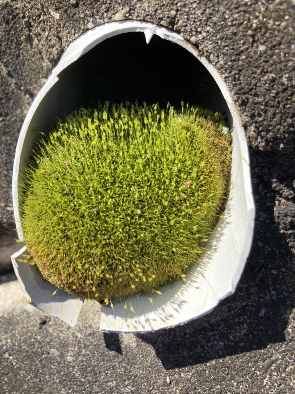 あざら93のページ | YAMAP / ヤマップ