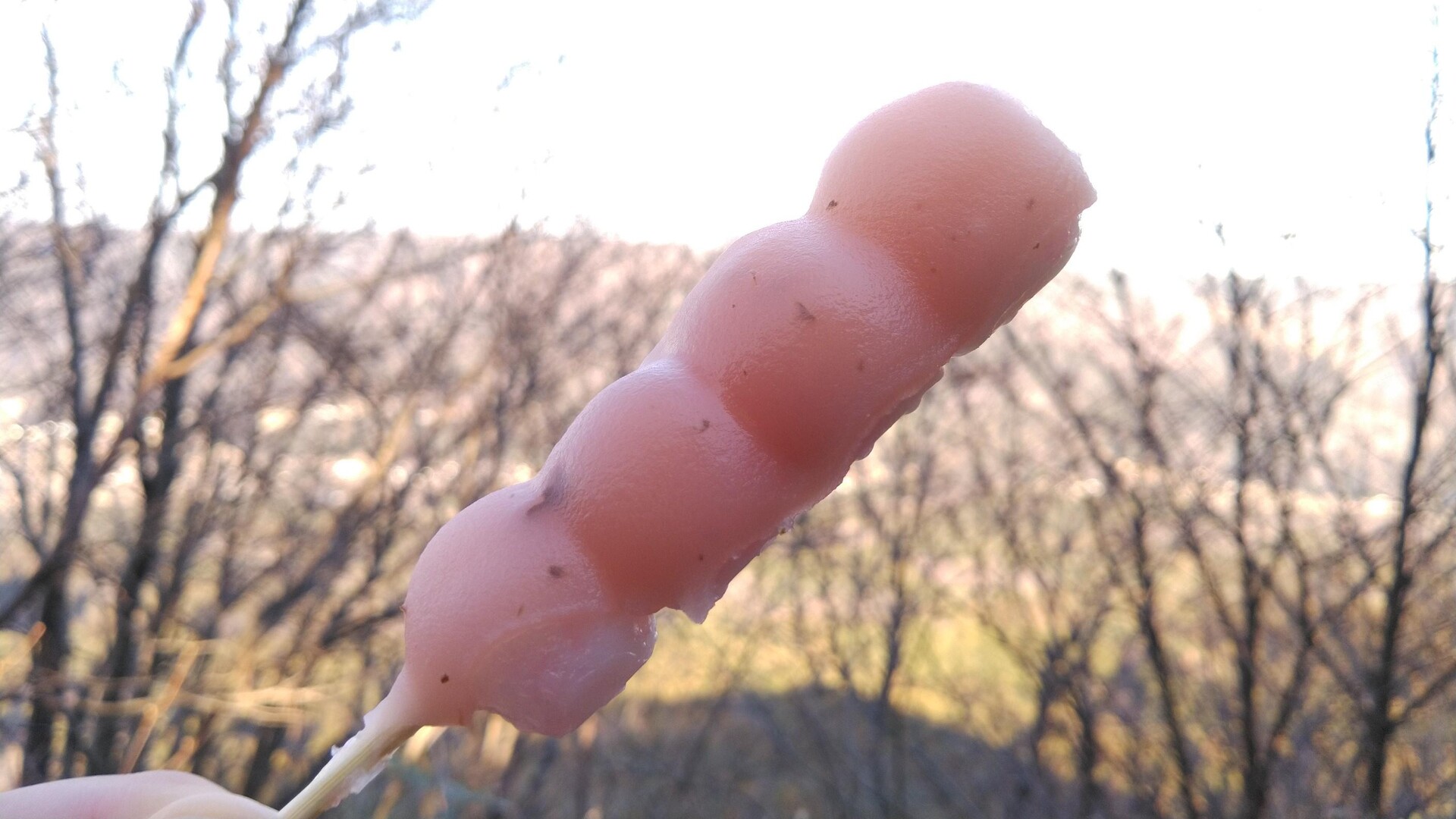 ヘロヘロ！佳老山！ / kohirouさんの矢祭山・檜山の活動データ | YAMAP / ヤマップ