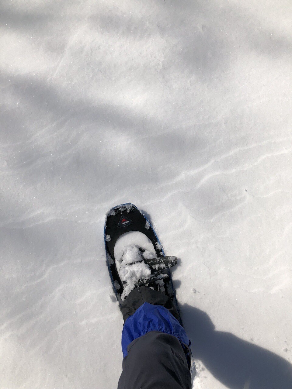 お気に入り MSRのスノーシュー 本当に... / SCORE さんのモーメント | YAMAP / ヤマップ