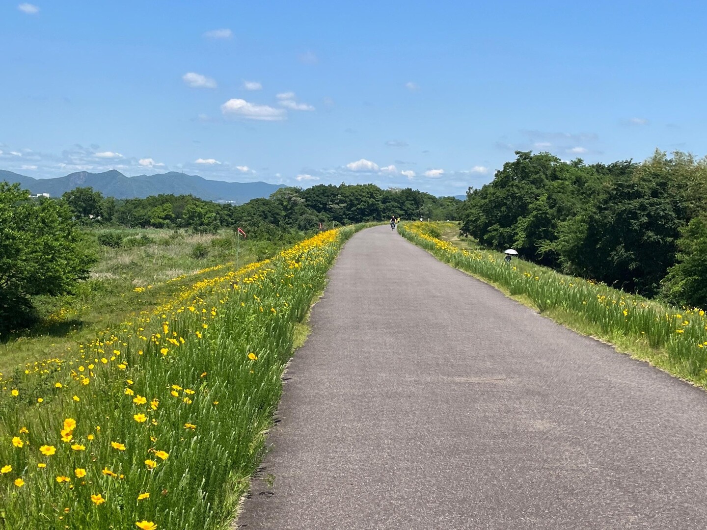 アプリくんとポタ🚲 / clearkkさんの木曽川沿川周遊サイクリングロードの活動データ | YAMAP / ヤマップ