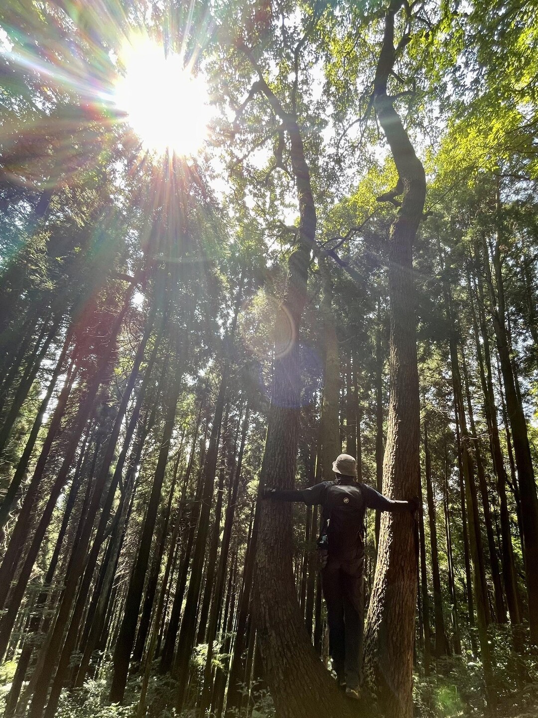 高崎山 / kazukoさんの高崎山の活動データ | YAMAP / ヤマップ