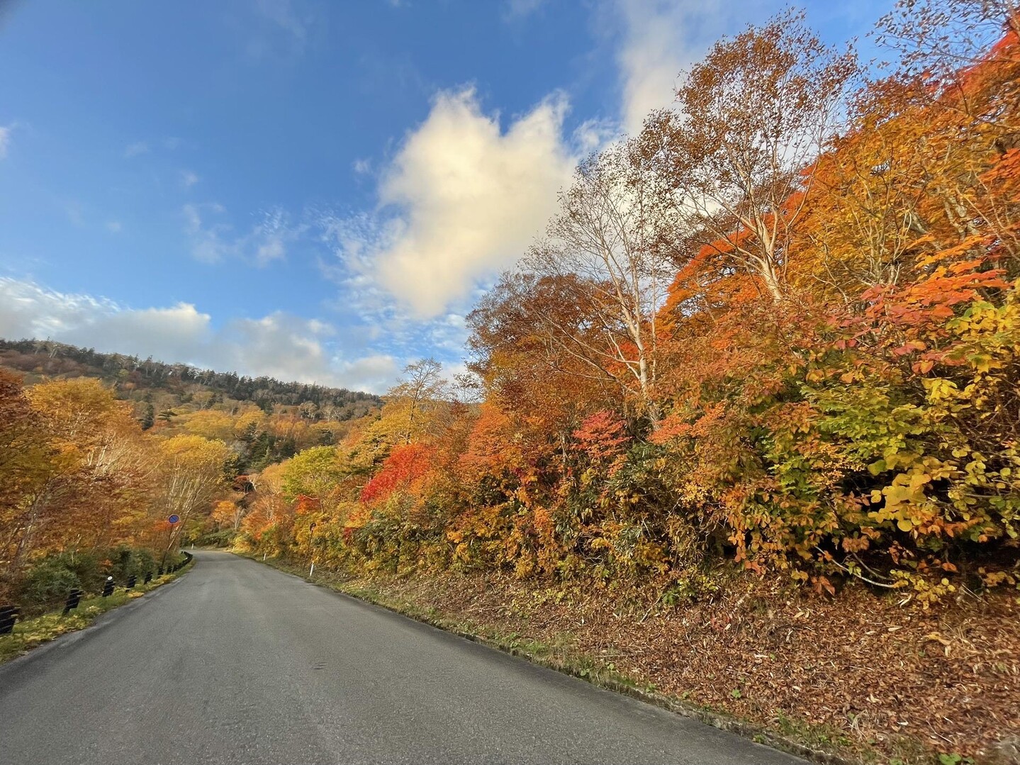 2022.10.19(水) 22:39 / ケロケロ🐸🐸🐸さんのモーメント | YAMAP / ヤマップ