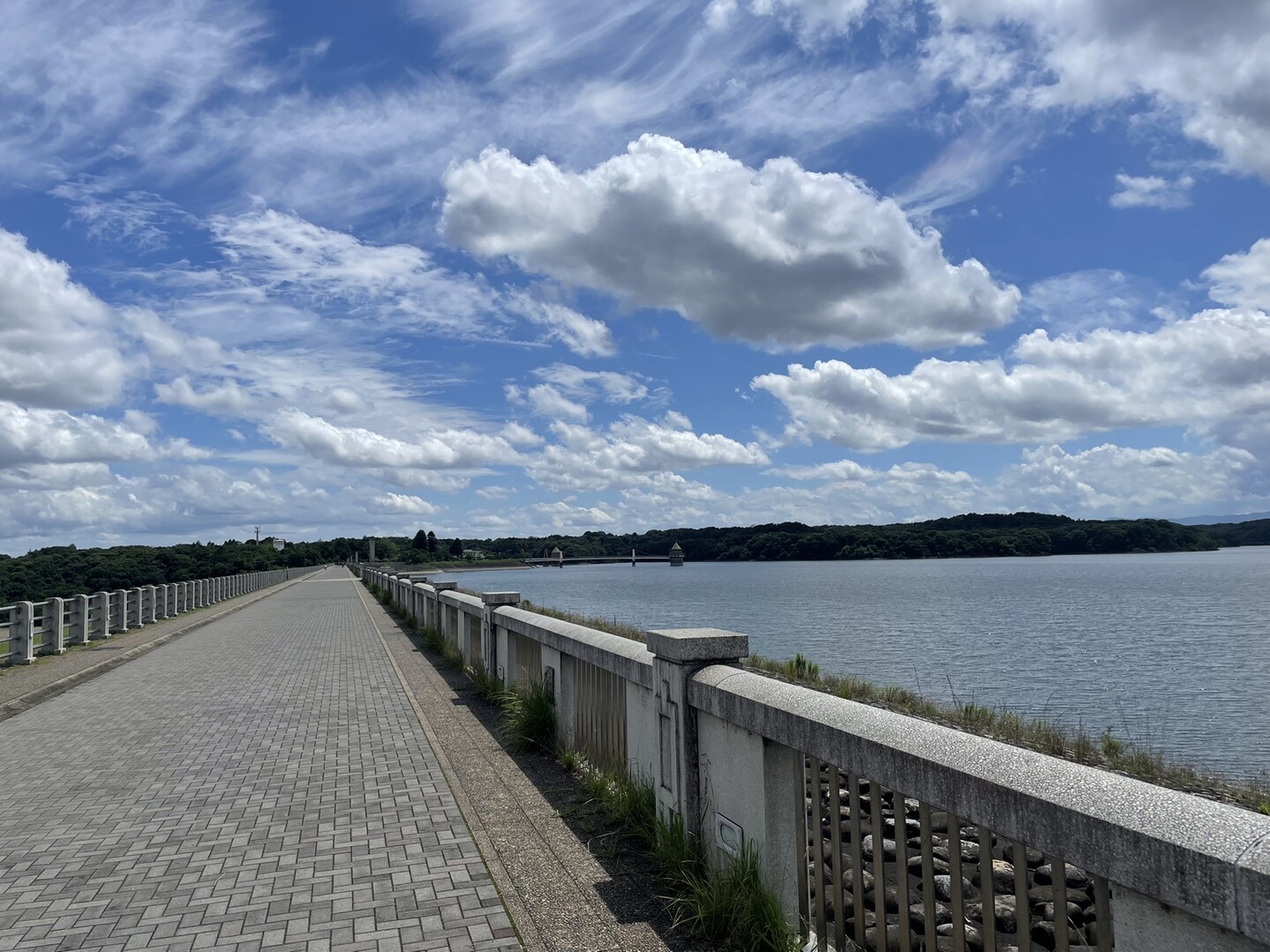 久々の晴天 ️今日は🚲で狭山湖、多摩湖... / KEN-Gさんのモーメント | YAMAP / ヤマップ