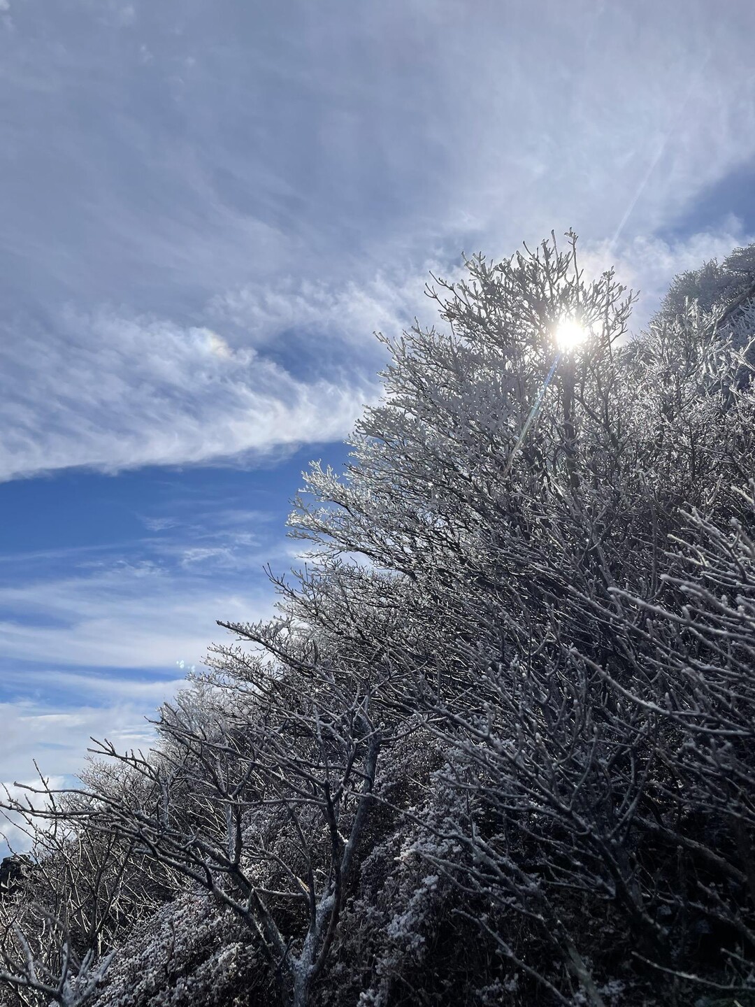 足にキター！白口岳 / マイmamaさんの九重山（久住山）・大船山・星生山の活動データ | YAMAP / ヤマップ