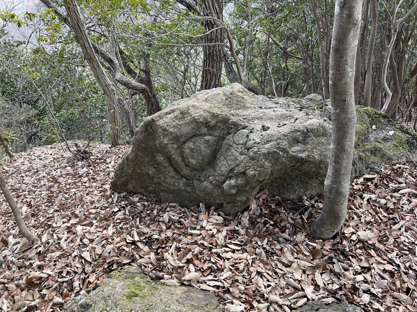 峰相山・伊勢山・奥山 / IDA-CHANさんの書写山・伊勢山・とんがり山の活動データ | YAMAP / ヤマップ